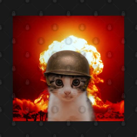 Funny Explosion Cat Cat Meme T Shirt Teepublic