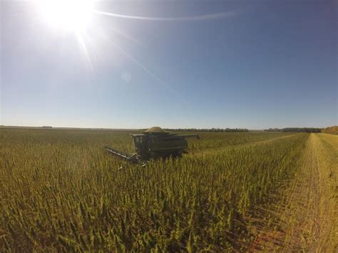 Suderman Bros 1981 Ltd Winkler Mb