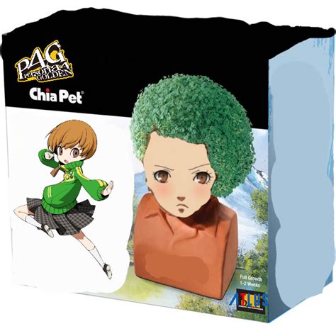 431 Best Chie Images On Pholder Per So Na Persona4golden And Churchof Chie