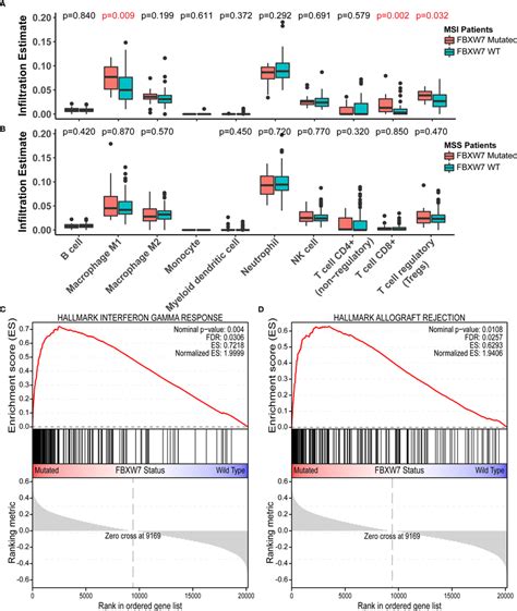Immune Cell Infiltration Analysis And Gene Set Enrichment Analysis In