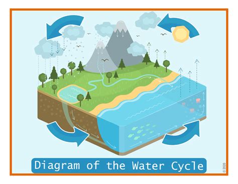 Unit 9 Weather And The Water Cycle Diagram Quizlet