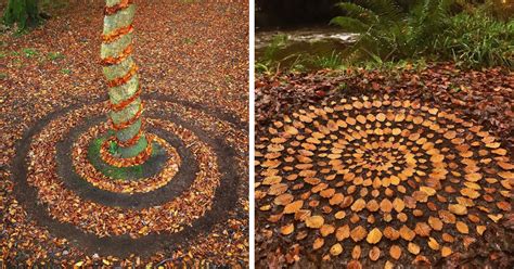 25 Times This Artist Surprised People With Intricate Land Art On The