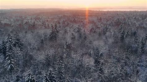 The Most Liveable City In The World Unigrafia