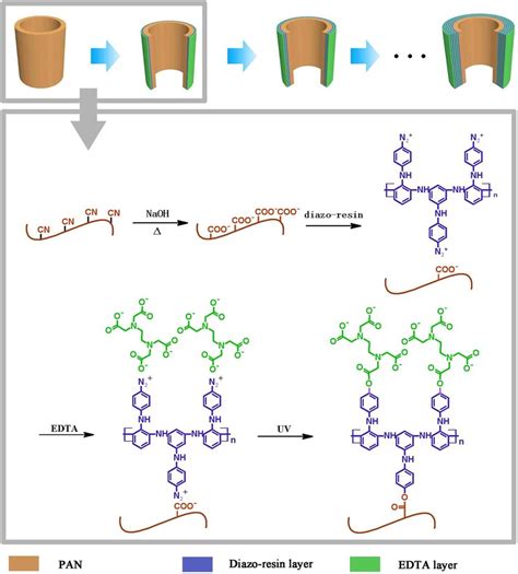 Scheme Of Grafting Dr And Edta Onto The Pan Membrane Surface