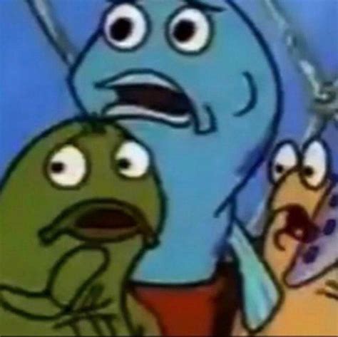 Emily Eras Tour Ticket Holder On Twitter Spongebob Funny Pictures Really Funny Memes Cute