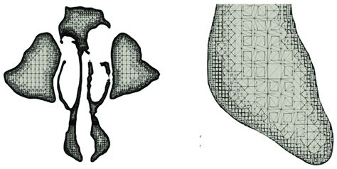 An Example Of The Numerical Mesh Structure Left Cross Section In The