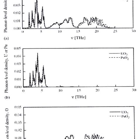 Effect Of Uranium Dioxide Dissociation On Its Thermal Conductivity