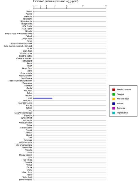 ccn4 gene genecards ccn4 protein ccn4 antibody