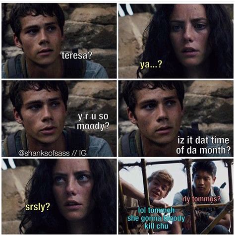 Image Result For Maze Runner Memes Maze Runner Funny Maze Runner
