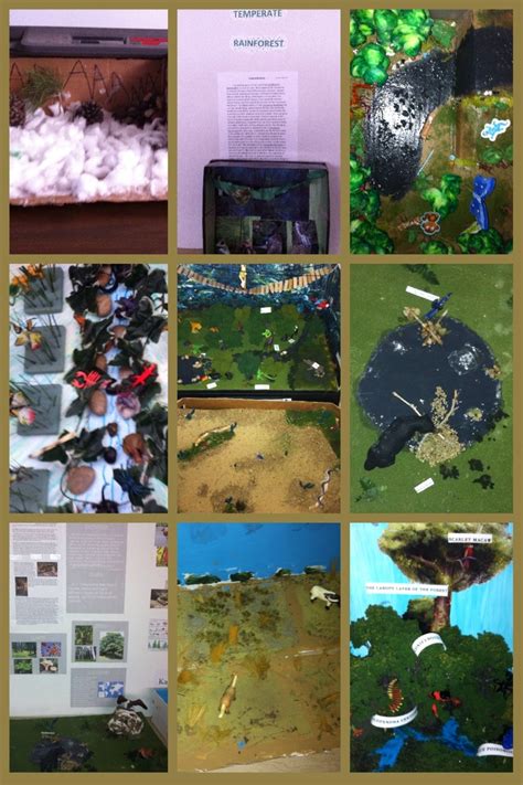 Elementary Biome Project
