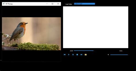 Python How To Create A Video Player With Windows With The Same Video Stack Overflow