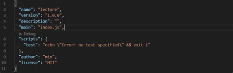 Why Does Debug Appear In The Packagejson File Stack Overflow