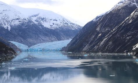 Dawes Glacier 07th May 2025 Dawes Glacier Endicott Arm… Flickr