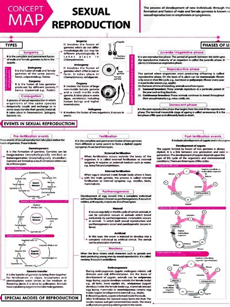 Concept Map Sexual Reproduction Pdf Fertilisation Sexual Reproduction