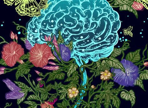The Expanding Role Of Estrogen In Brain Health And Neurological Disease