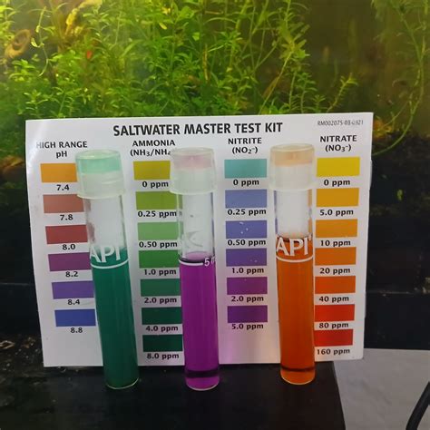 Today Parameters Album On Imgur