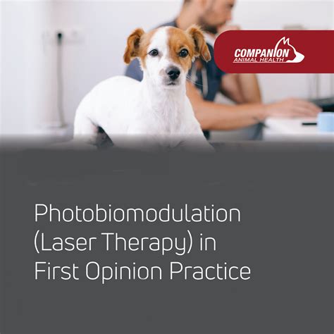 Photobiomodulation Laser Therapy In First Opinion Practice