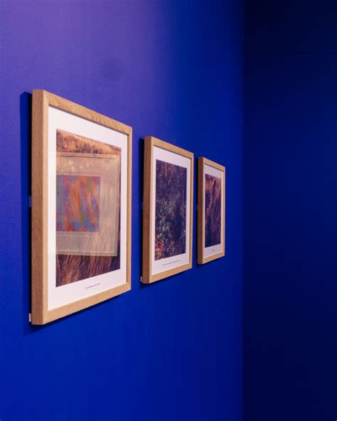 Alex Nelus The Wind Was Blowing As I Was Walking On Marshy Ground Art Collection