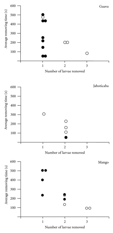 Relationship Between Amounts Of Fruit Fly Larvae Tephritidae Removed