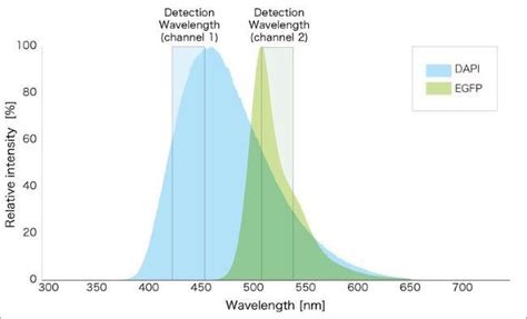 Confocal Mems Unit For Fluorescence Imaging Get Quote Rfq Price Or Buy