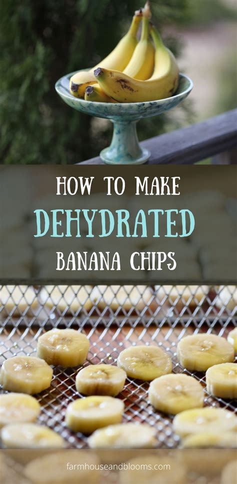 How To Make Dehydrated Banana Chips Recipe Dehydrated Banana Chips