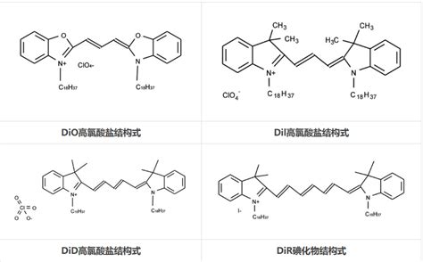 Dii、dio、did、dir 这些亲脂性细胞膜染料分别用于什么实验？ 知乎