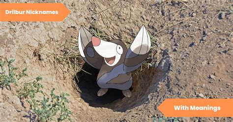 99 Drilbur Nicknames Digging Deep Into The Abilities Strategies And