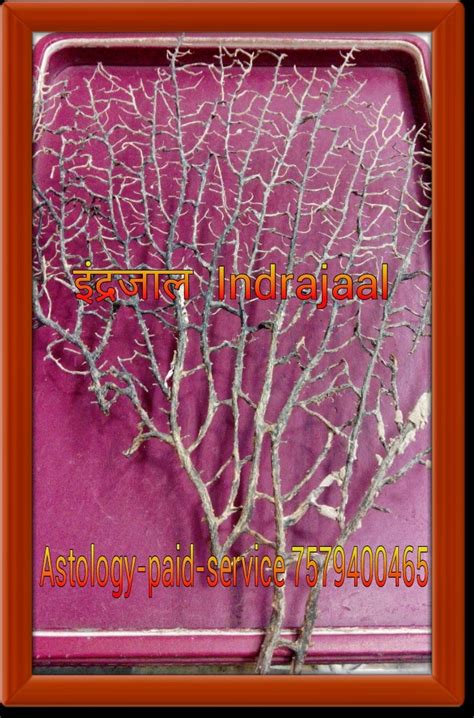 Jyotish And Tantra Indrajal Mahaindrajal इंद्रजाल महाइन्द्रजाल The