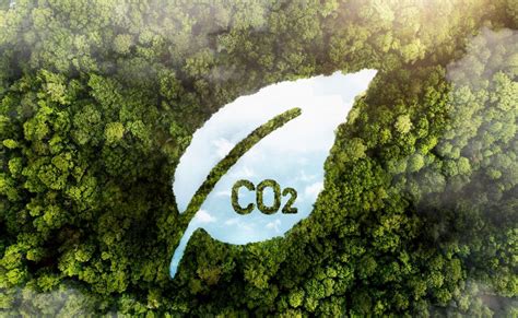 Mitigation And Decarbonization Renewable Strategies For Productive Sectors Mitigation And Decarbonization Renewable Strategies For Productive Sectors