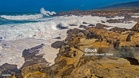 Tafoni Formation In Sedimentary Rock The Honeycomb Like Network Due To