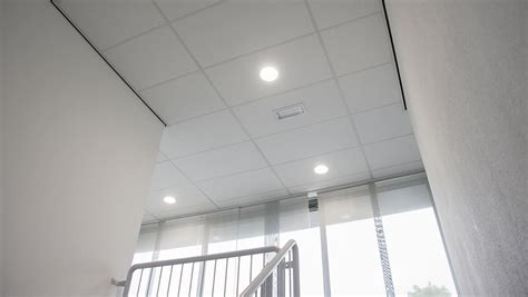 Silversun Projects Offices Van Cappellen Consultancy