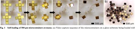 Figure 1 From Self Loading Lithographically Structured Microcontainers 3d Patterned Mobile