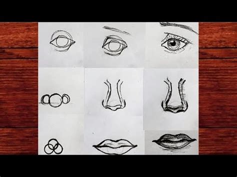 Art Tricks Art Tricks And Hacks How To Draw Basic Face Drawing How To Practice Drawing