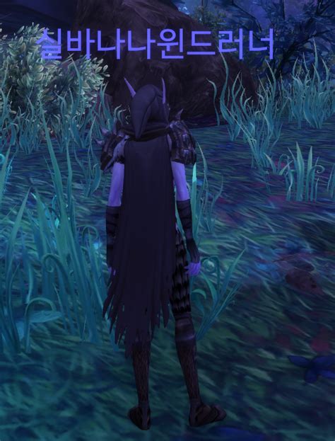 월드 오브 워크래프트 인벤 공허 엘프 실바나스 윈드러너 룩 와우 인벤 커스터마이징 And형상 변환 게시판