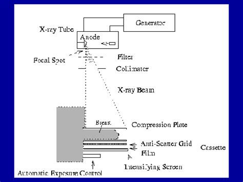 PPT Slide