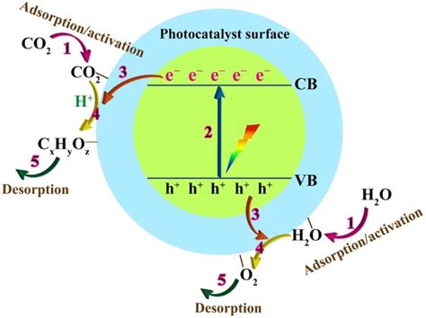 Schematic Illustration Of A Typical Co2 Photocatalytic Reduction