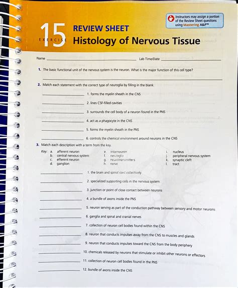 solved 1 the basic functional unit of the nervous system is