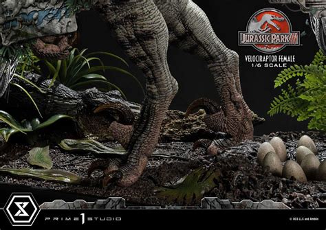 Jurassic Park Velociraptor Female Jurassic Park Iii Legacy Museum