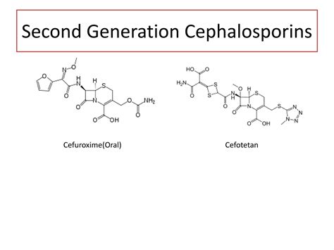 Beta Lactam Antibiotics Pptx