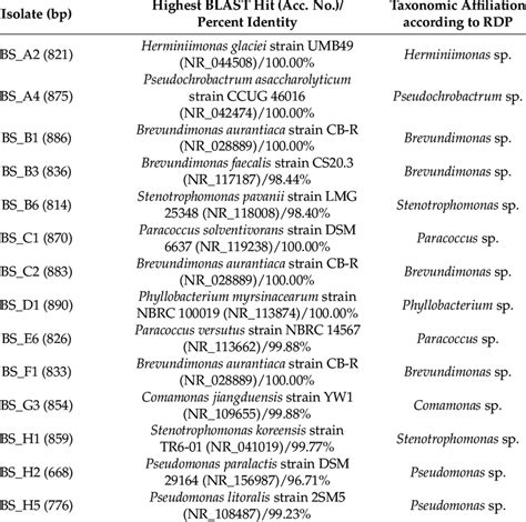 Sequencing Results Of 16s Rrna Genes Of Representative Bacterial Isolates Download Scientific
