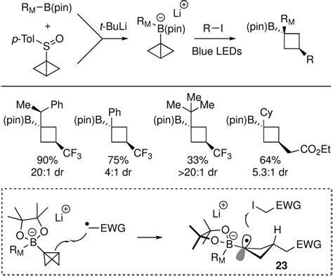 Recent Advances In Radical Addition To Alkenylboron Compounds Pmc