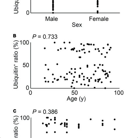 The Sem Imagines Of Diatoms With Different Shapes And Sizes Upper