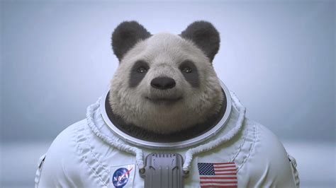 Nasa Panda