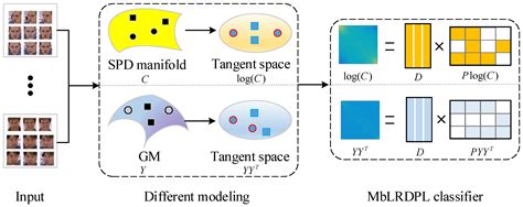 Manifolds Based Low Rank Dictionary Pair Learning For Efficient Set Based Video Recognition