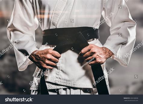 7 228 Imágenes De Karate Shadow Imágenes Fotos Y Vectores De Stock Shutterstock
