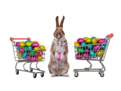 Easter Bunny Standing With Basket Filled With Candy Easter Eggs Stock