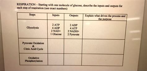 Oxidative Phosphorylation Inputs And Outputs