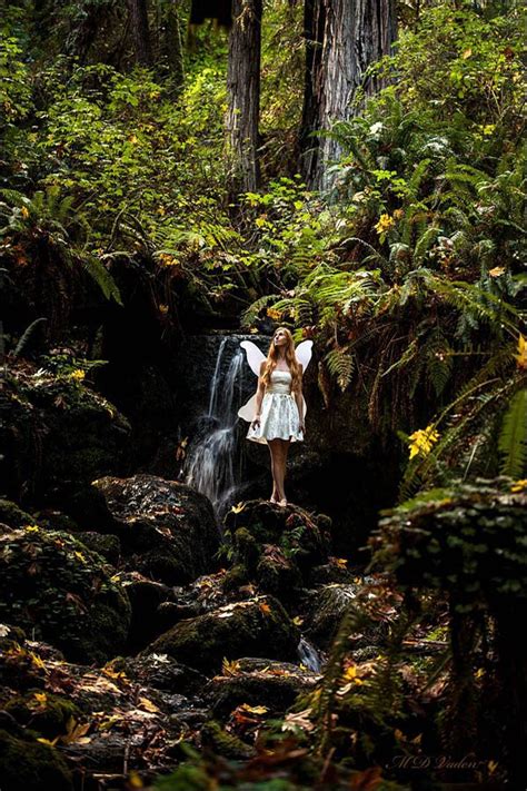 Trillium Falls Redwood Trail Redwood National Park