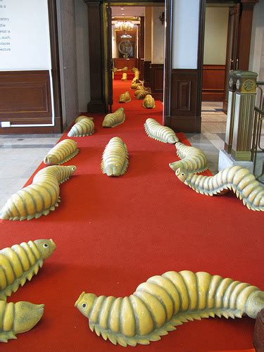 This Was Some Kind Of Art Installation Im Not