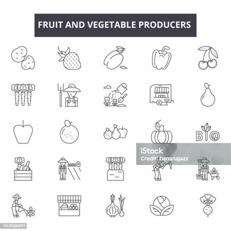 과일 및 야채 생산자 라인 아이콘 기호 설정 벡터 과일과 채소 생산자 개요 개념 그림 생산 음식 신선한 유기농 토마토 당근 건강 한 개체 그룹에 대한 스톡 벡터 아트 및